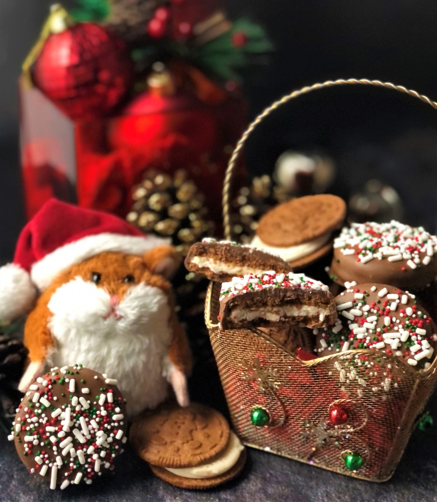 Gourmet Chocolate-Covered Gingerbread Cookies